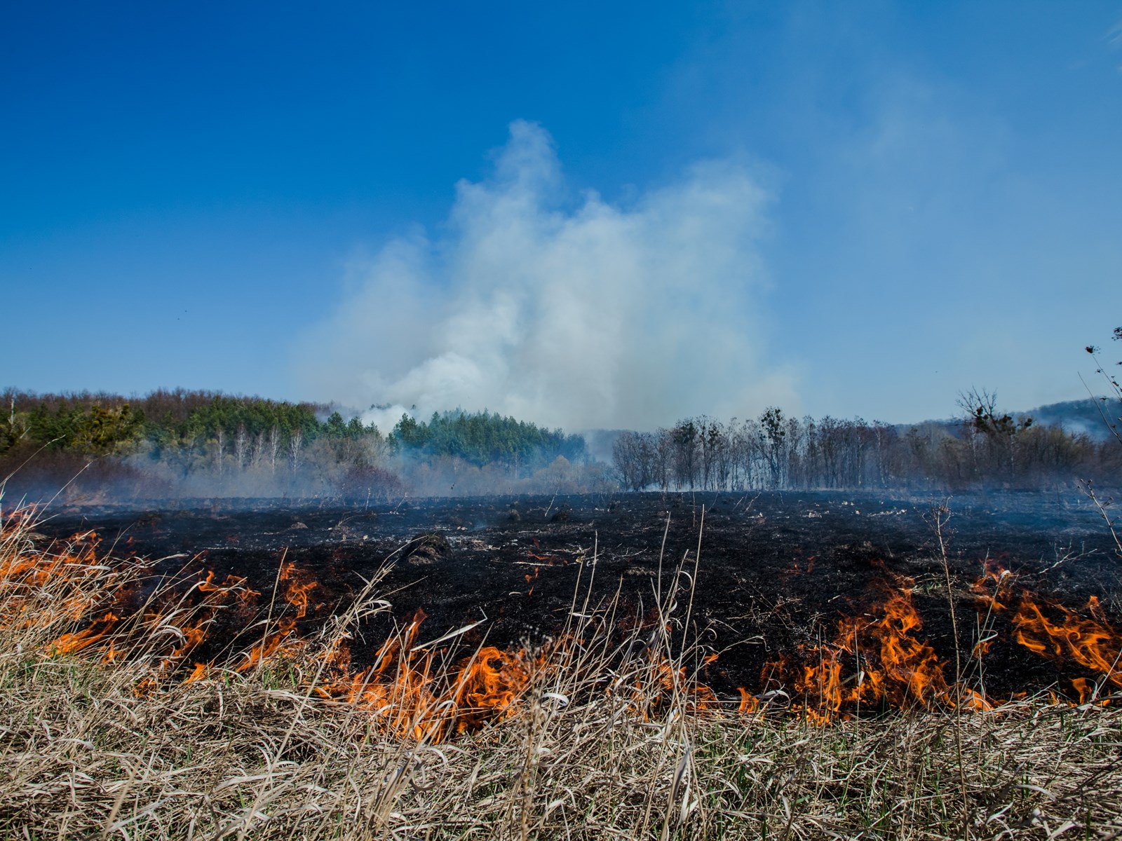 2019-20 Bushfires - Parliament of Victoria