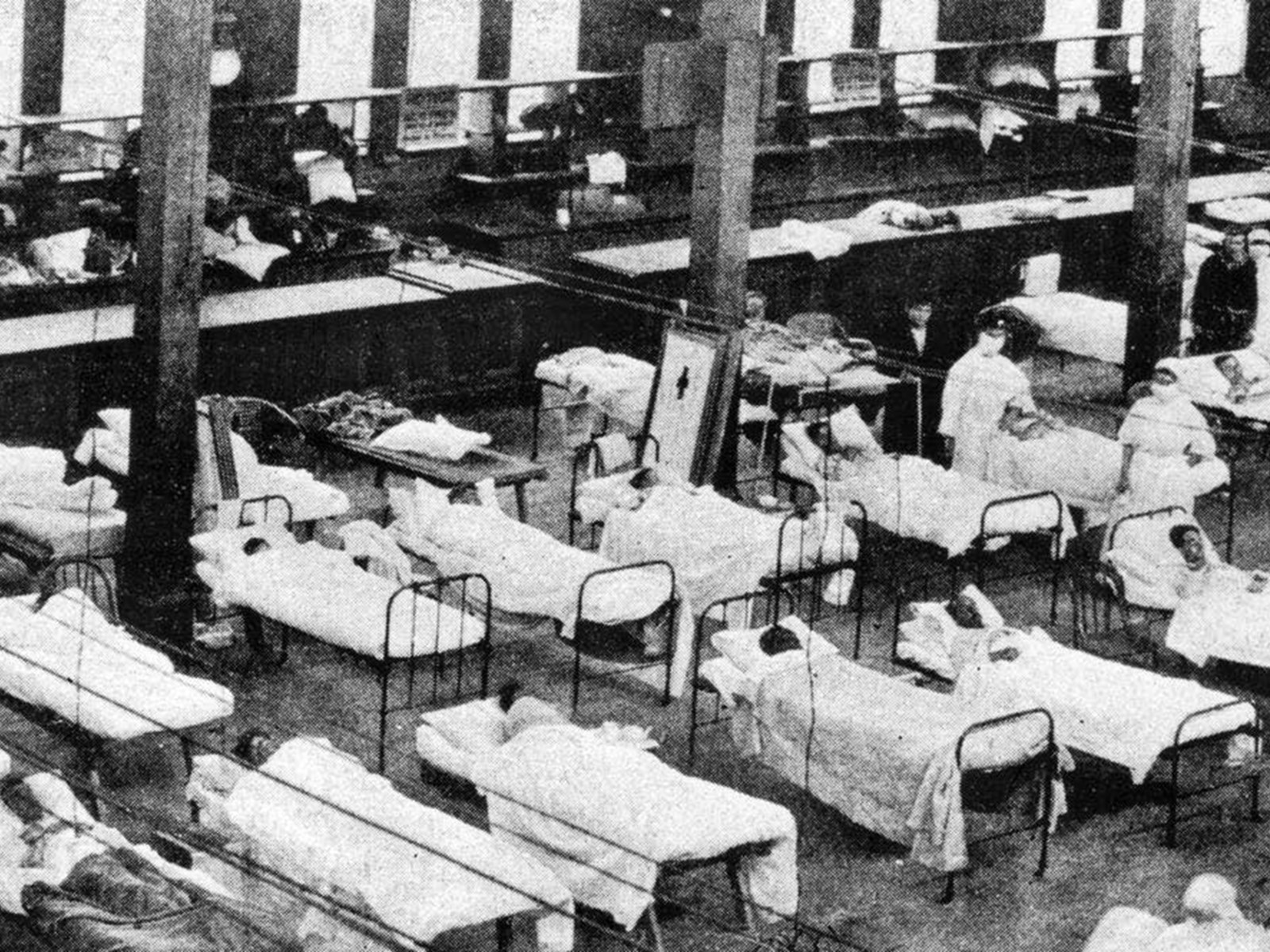 Epidemics and pandemics in Victoria: Historical perspectives ...