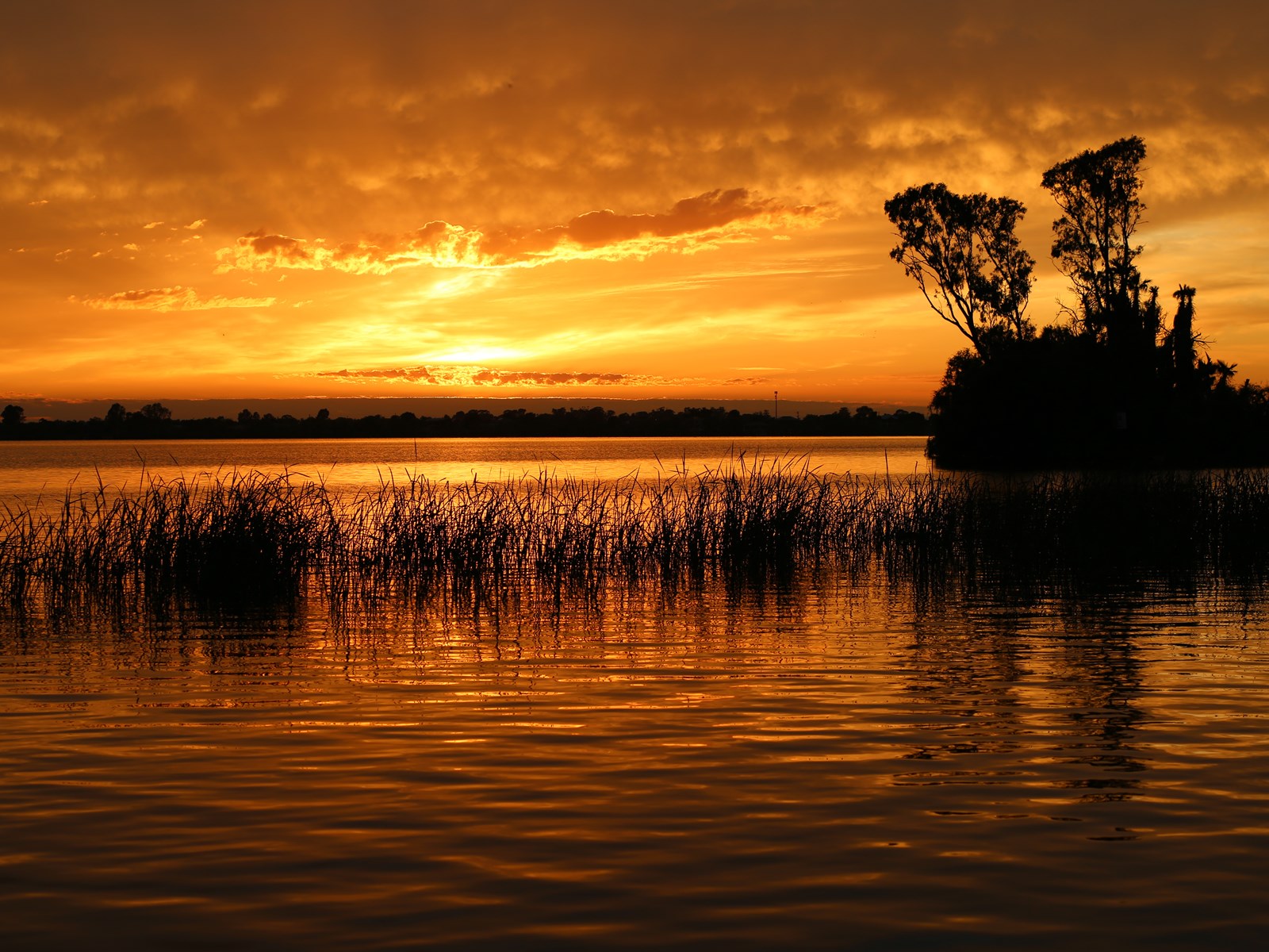 3 Jul 2023 - Hearing for Inquiry into Victoria's recreational native ...