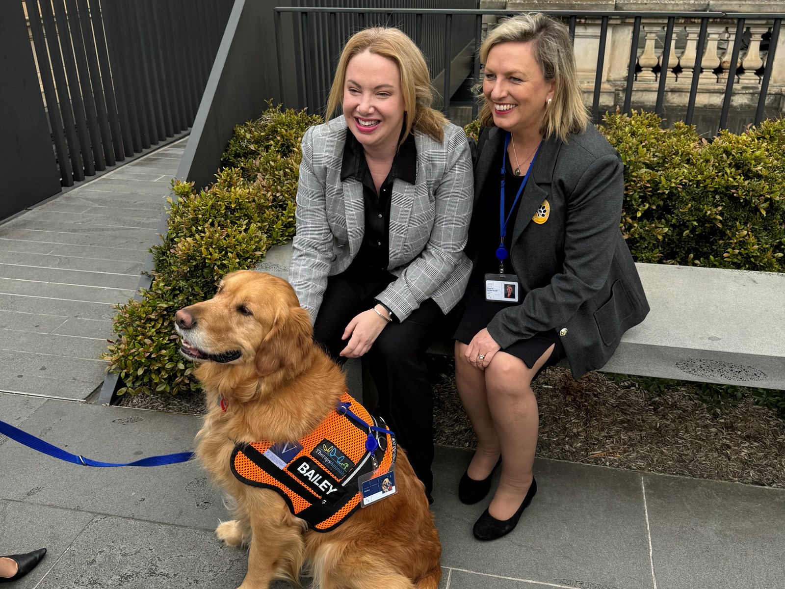 Bailey the therapy dog visits Victorian Parliament - Parliament of Victoria