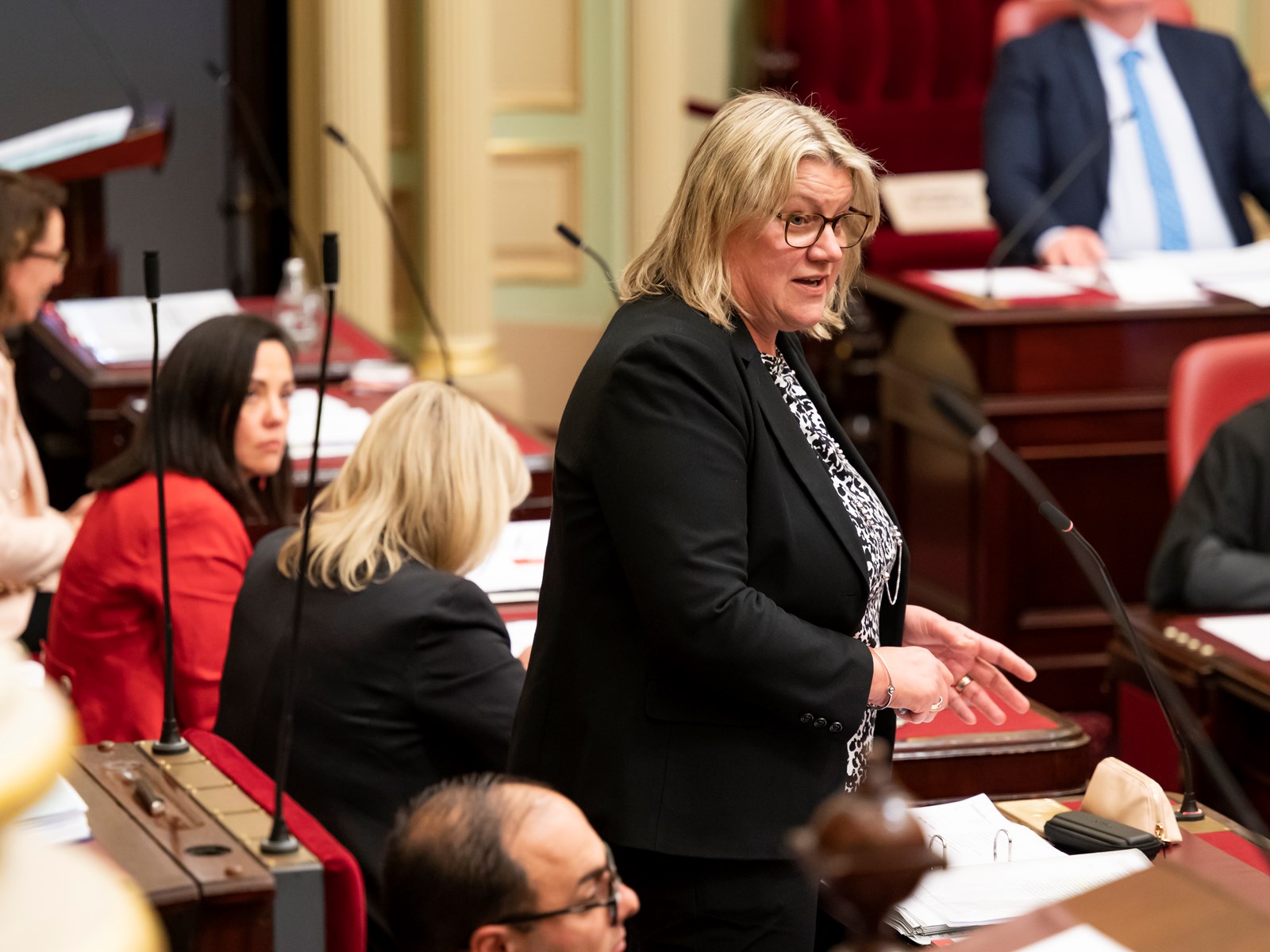 26 Aug 2025 - Legislative Council sitting - Parliament of Victoria